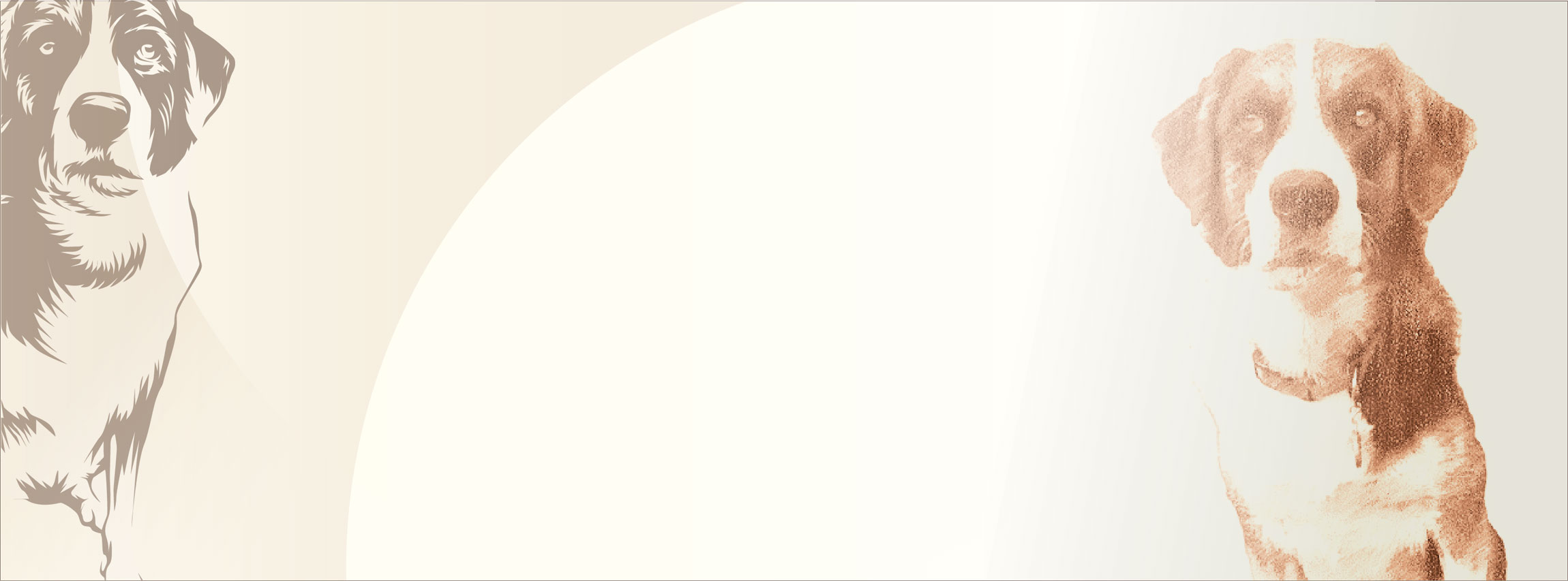 campaignBG - Best Digital Agency:PPC, Social, Amazon and Connected TV